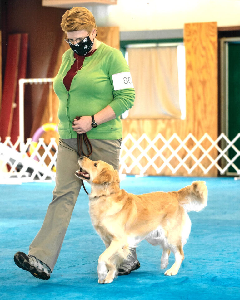 Albany NY Dog Training | Puppy Training Albany New York | Dog Behavior ...